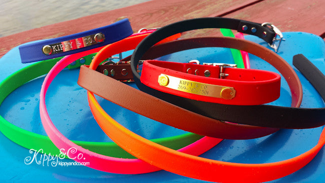 Kippy and Co - Waterproof 3/4 inch Dog Collar
