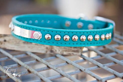 Personalized Turquoise Studded Dog Collar | Kippy and Co