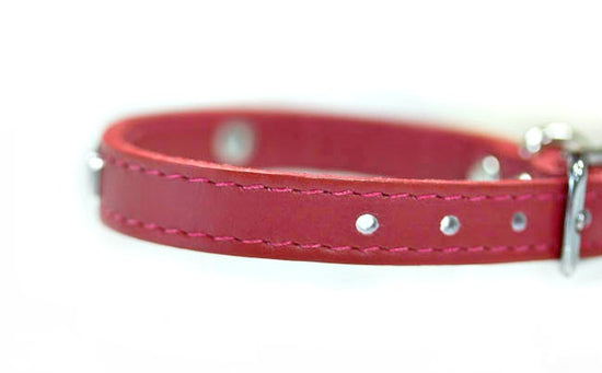 Red Leather Personalized Collar – Kippy and Co