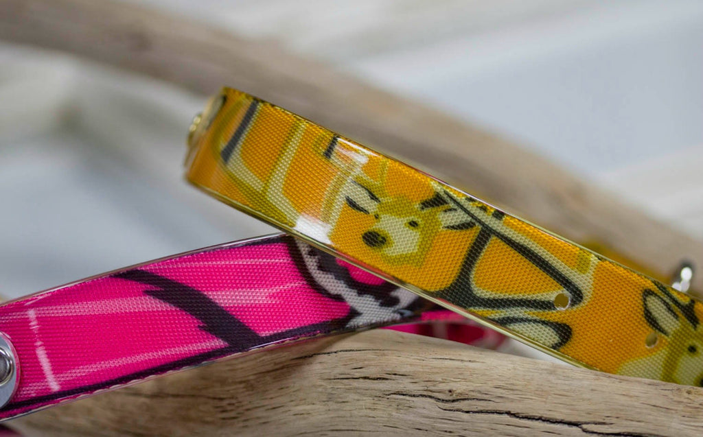 Kippy and Co - Bright Orange Hunting Dog Collar